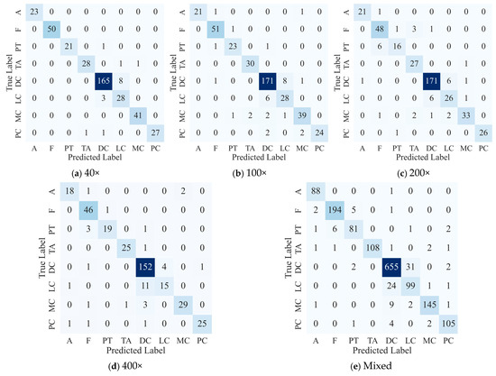 Focal Cosine-Enhanced EfficientNetB0: A Novel Approach to Classifying Breast Histopathological ...