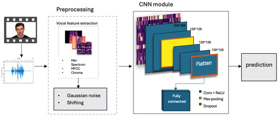Speech Emotion Recognition on MELD and RAVDESS Datasets Using CNN