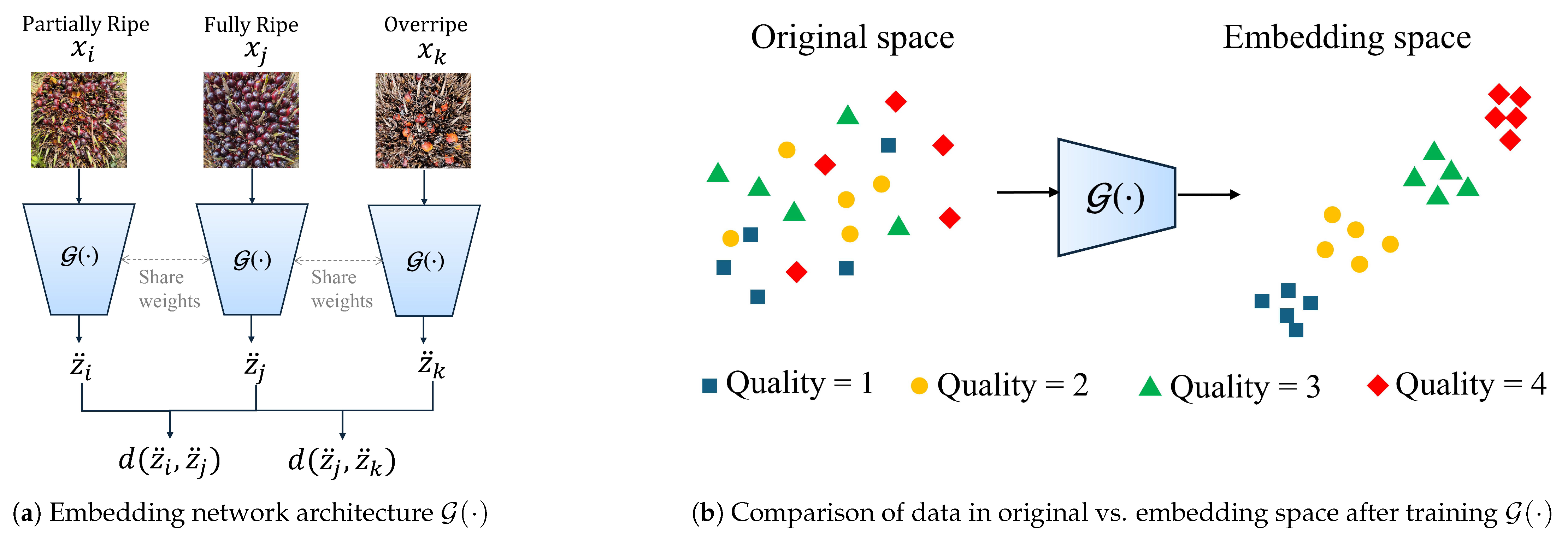 Exploiting Structured Global and Neighbor Orders for Enhanced Ordinal Regression