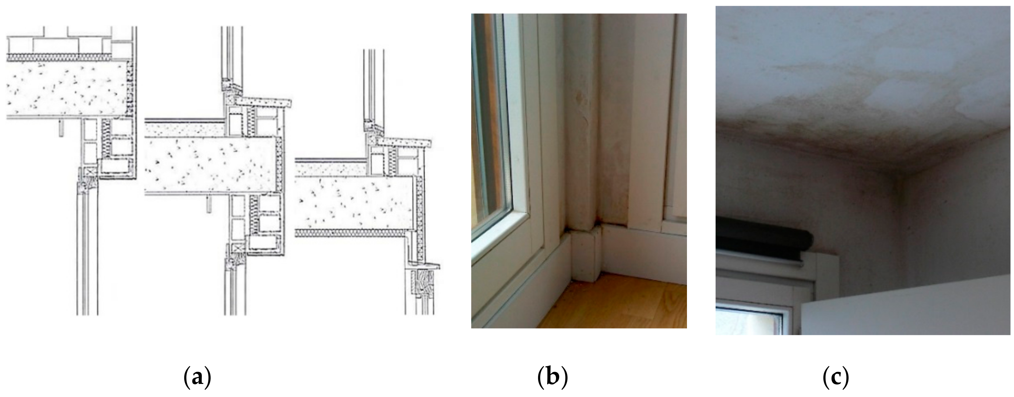 Combination of Diagnostic Tools for the Proper Identification of ...