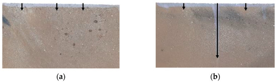 Chloride Induced Corrosion and Carbonation in 3D Printed Concrete