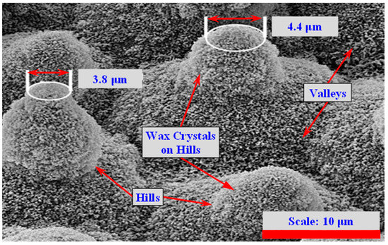 Lotus-Leaf-Inspired Biomimetic Coatings: Different Types, Key ...