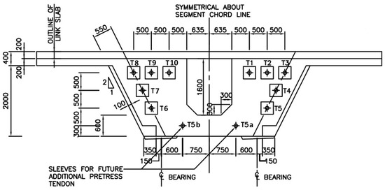 Damage Detection in External Tendons of Post-Tensioned Bridges