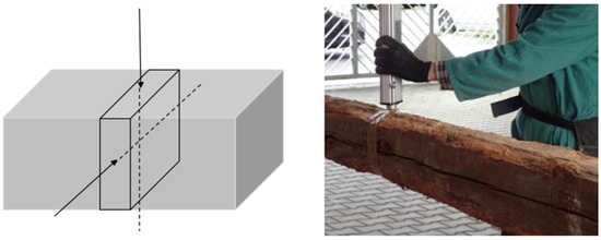 Review of Nondestructive Testing (NDT) Techniques for Timber Structures
