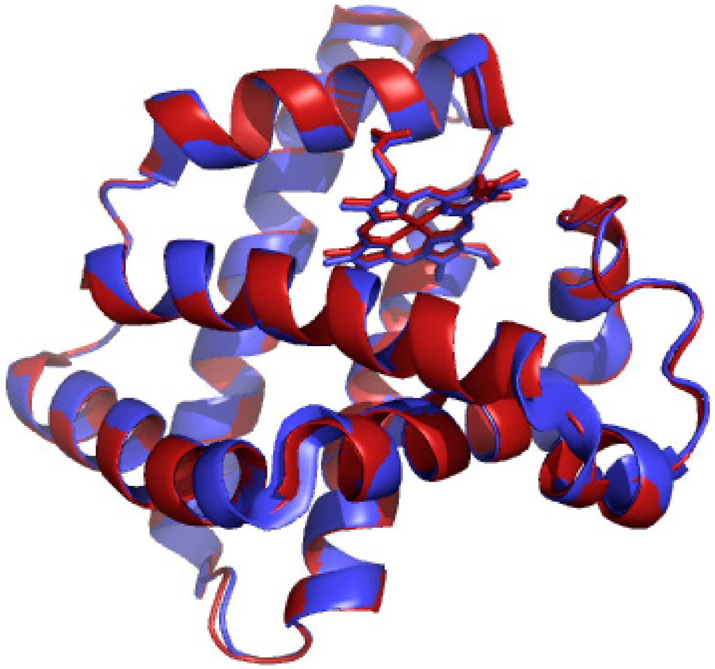 [DIAGRAM] Structure Of Myoglobin Diagram - MYDIAGRAM.ONLINE