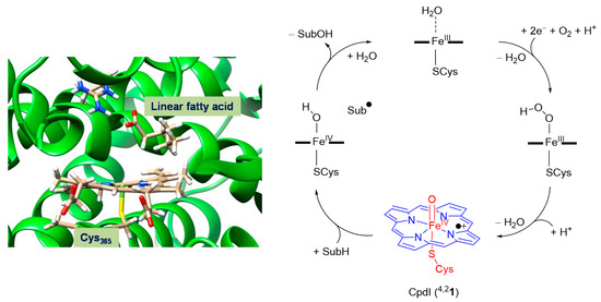 Inorganics | Special Issue : Metal–Oxo Complexes