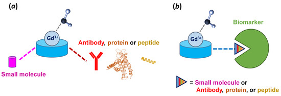 Targeted Contrast Agents for Molecular MRI