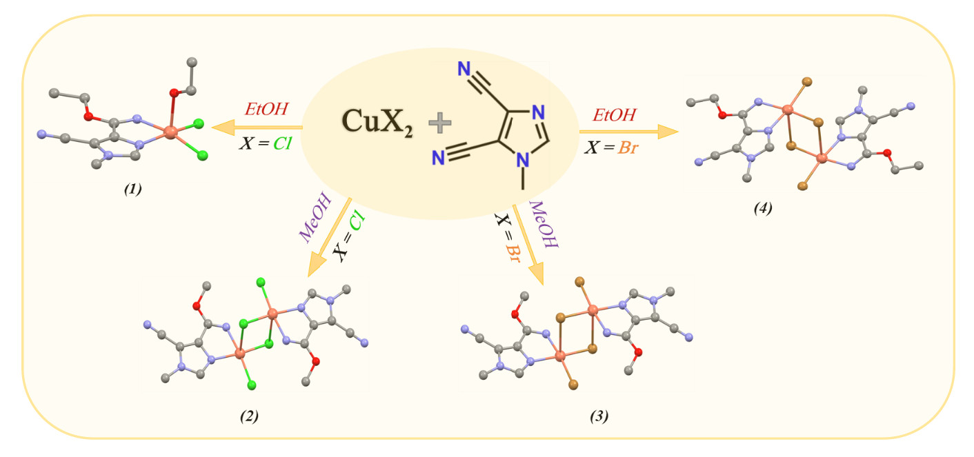 Inorganics | Free Full-Text | Activation of the Cyano Group at ...