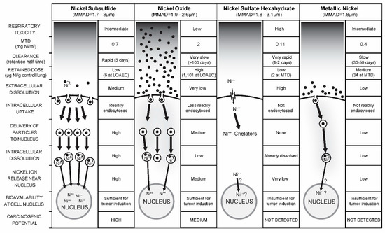Concise Review of Nickel Human Health Toxicology and Ecotoxicology