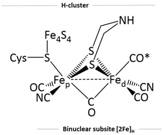 The Photochemistry of Fe2(S2C3H6)(CO)6(µ-CO) and Its Oxidized Form, Two ...