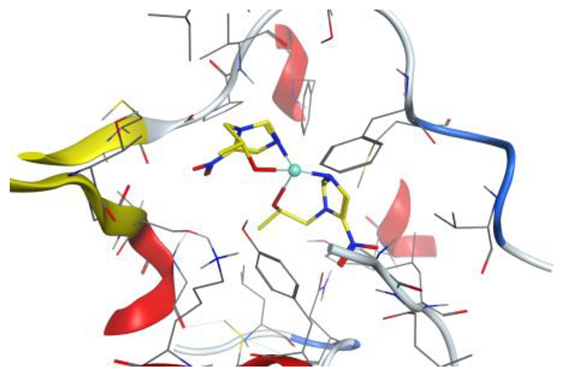 Inorganics | Free Full-Text | Synthesis, Spectroscopic Characterization, Molecular Docking and ...