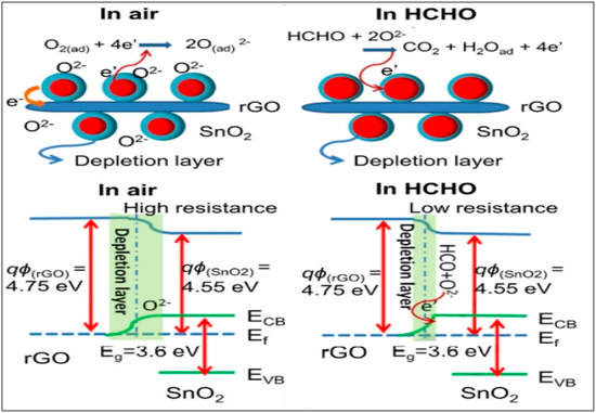 Bio-Inspired Synthesis of Carbon-Based Nanomaterials and Their ...