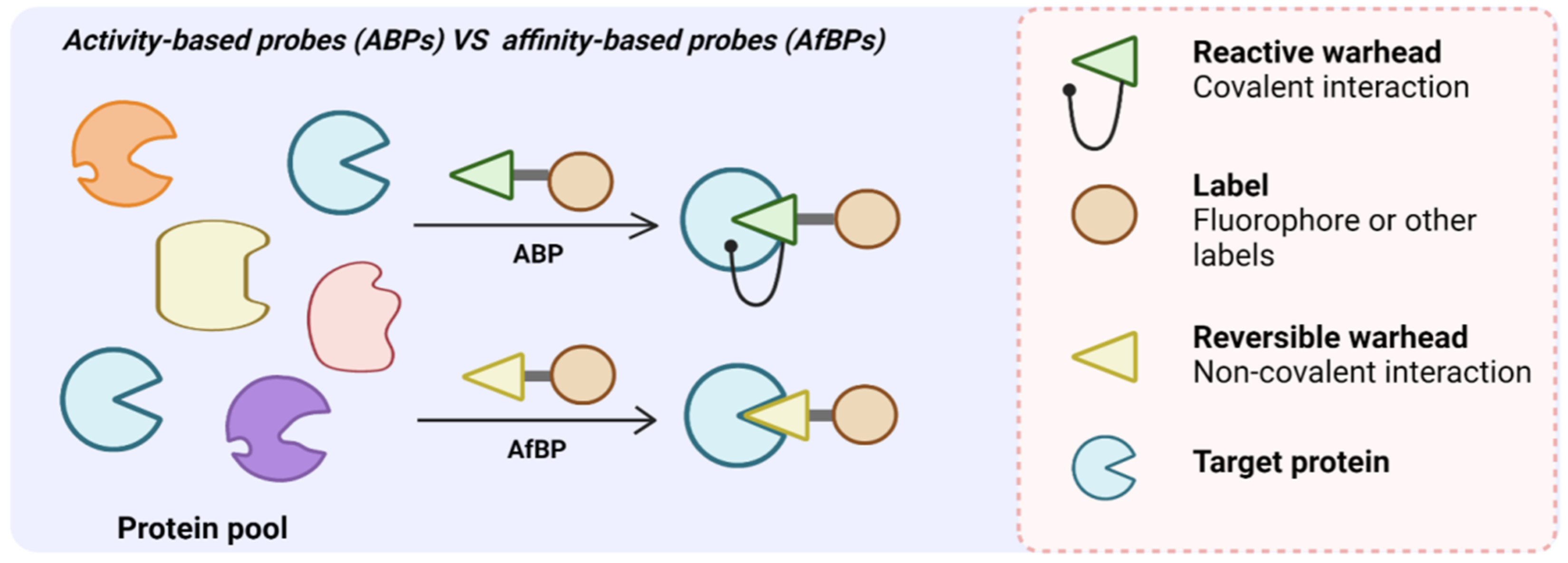 Affinity-Based Luminescent Iridium(III) Complexes for the Detection of Disease-Related Proteins
