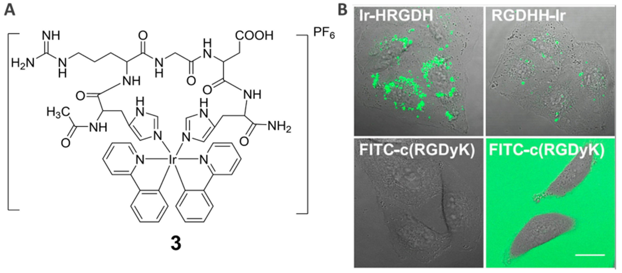 Affinity-Based Luminescent Iridium(III) Complexes for the Detection of ...