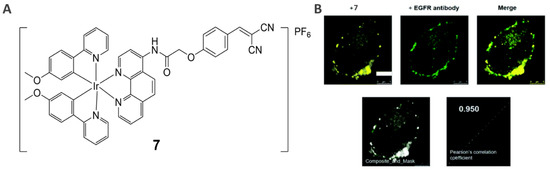 Affinity-Based Luminescent Iridium(III) Complexes for the Detection of ...