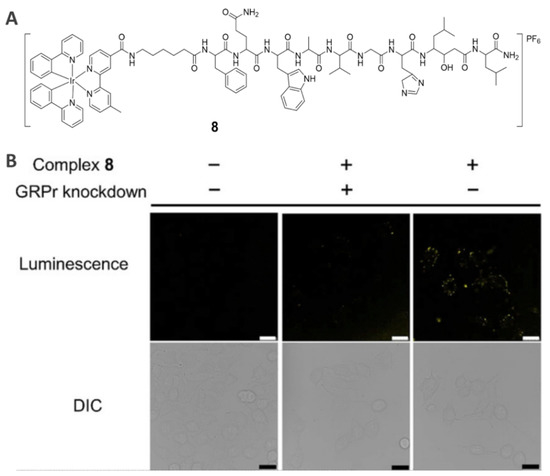 Affinity-Based Luminescent Iridium(III) Complexes for the Detection of ...