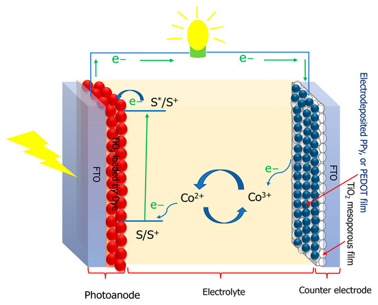 Electrodeposited PPy@TiO2 and PEDOT@TiO2 Counter Electrodes for [Co(bpy ...