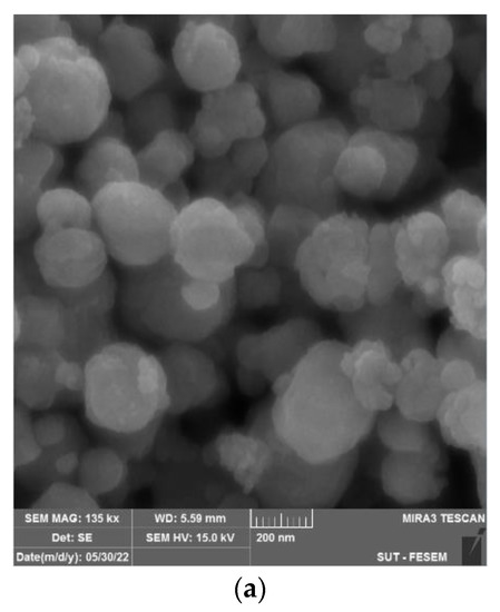Green Synthesis of Fe3O4 Nanoparticles and Its Applications in ...