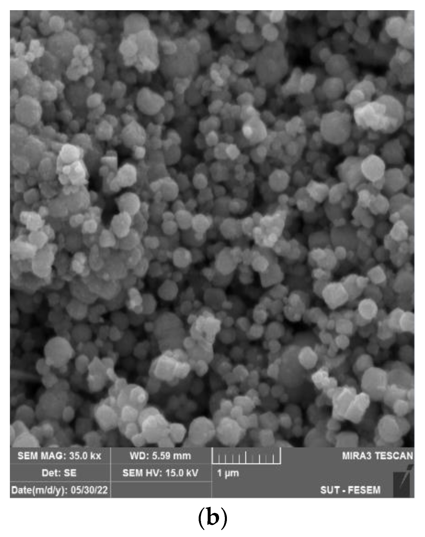Green Synthesis of Fe3O4 Nanoparticles and Its Applications in ...