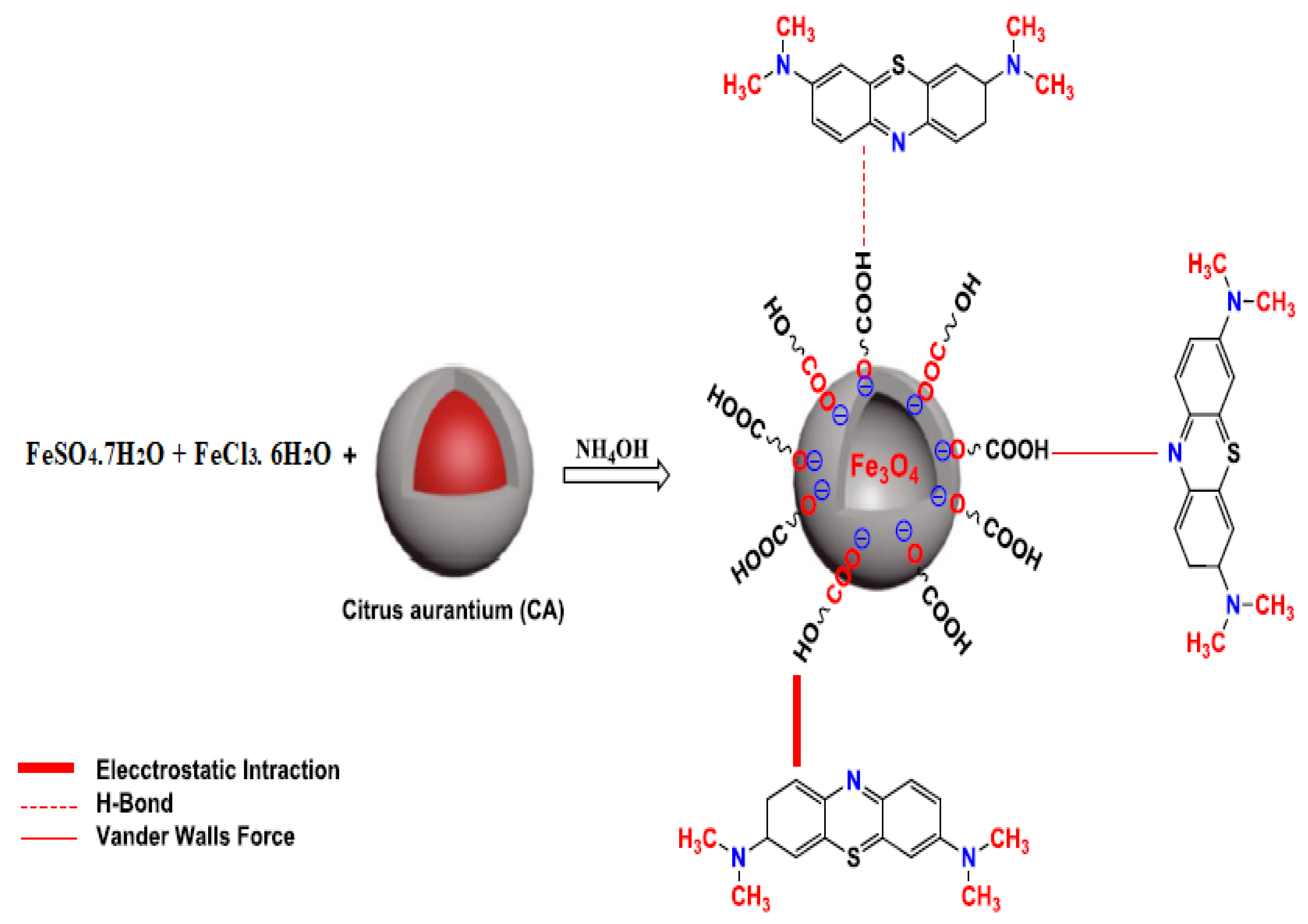 Green Synthesis of Fe3O4 Nanoparticles and Its Applications in Wastewater Treatment