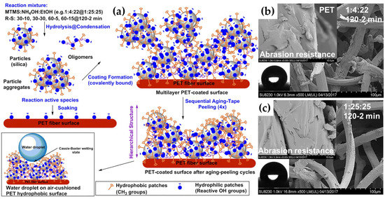 Inorganic Finishing for Textile Fabrics: Recent Advances in Wear ...