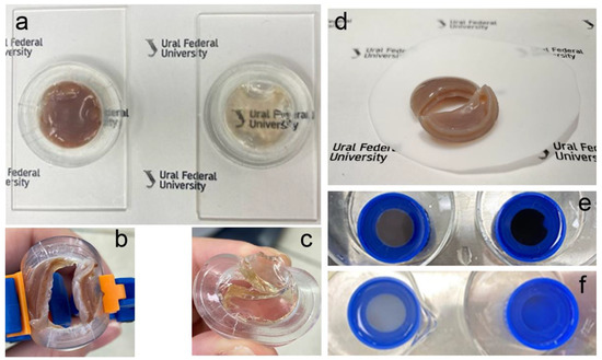 TiO2-Embedded Biocompatible Hydrogel Production Assisted with Alginate ...