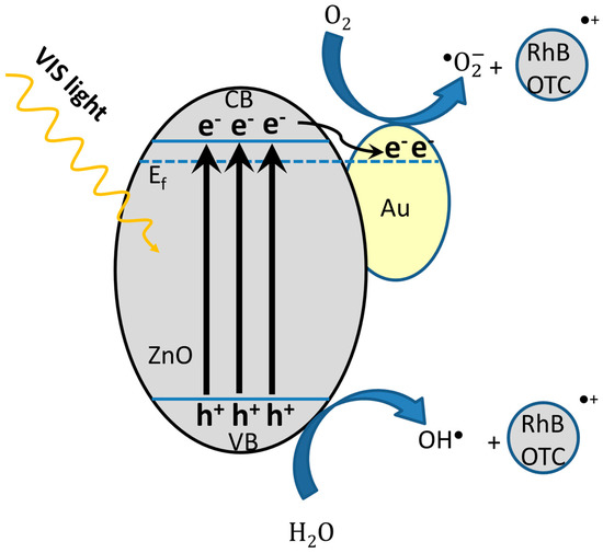 Enhanced Plasmonic Photocatalysis of Au-Decorated ZnO Nanocomposites