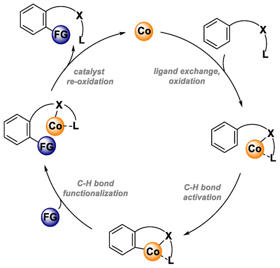 Co(III) Intermediates in Cobalt-Catalyzed, Bidentate Chelation Assisted ...