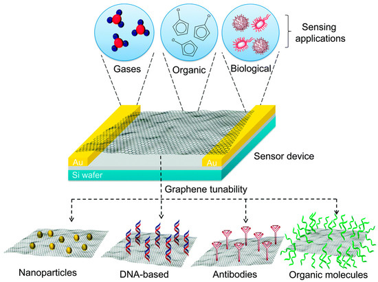 Graphene-Based Electrochemical Nano-Biosensors for Detection of SARS-CoV-2