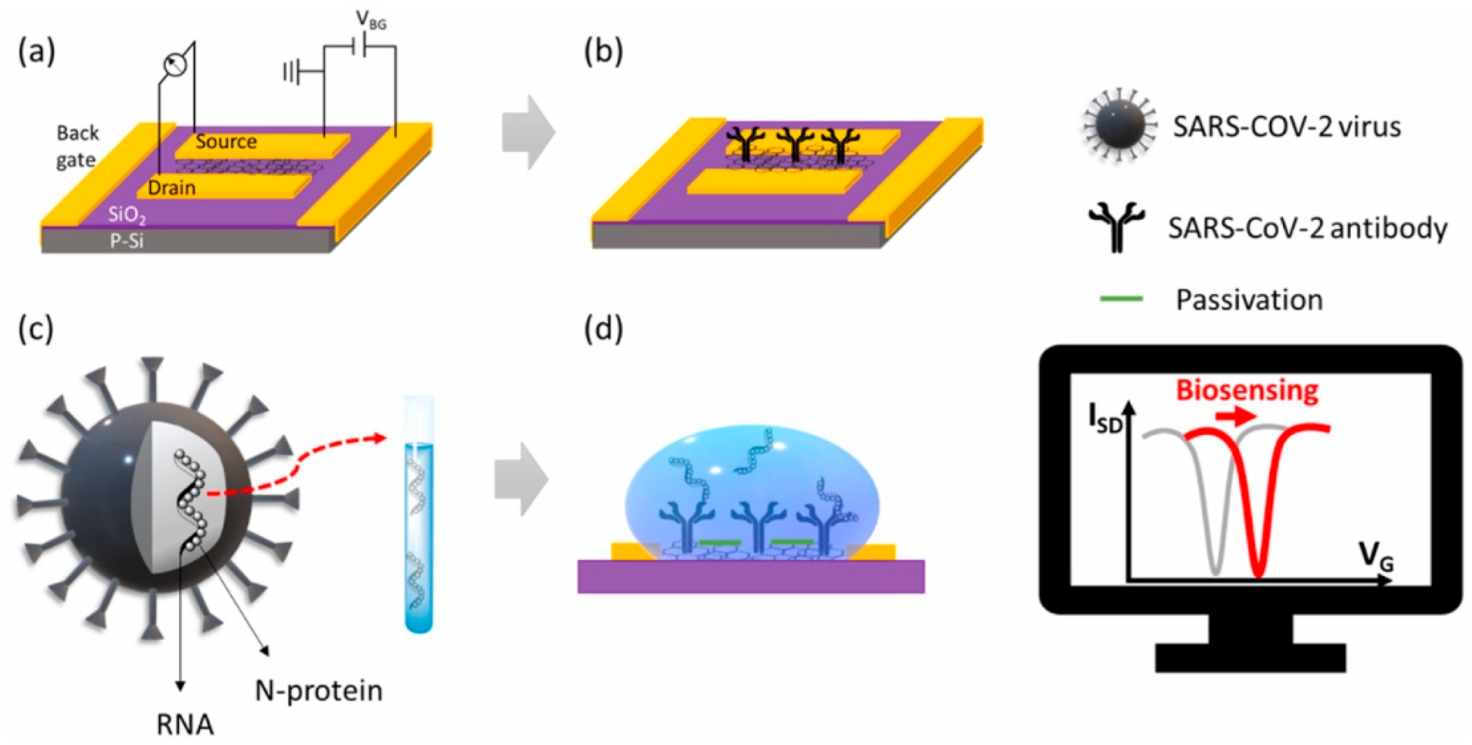Graphene-Based Electrochemical Nano-Biosensors for Detection of SARS-CoV-2
