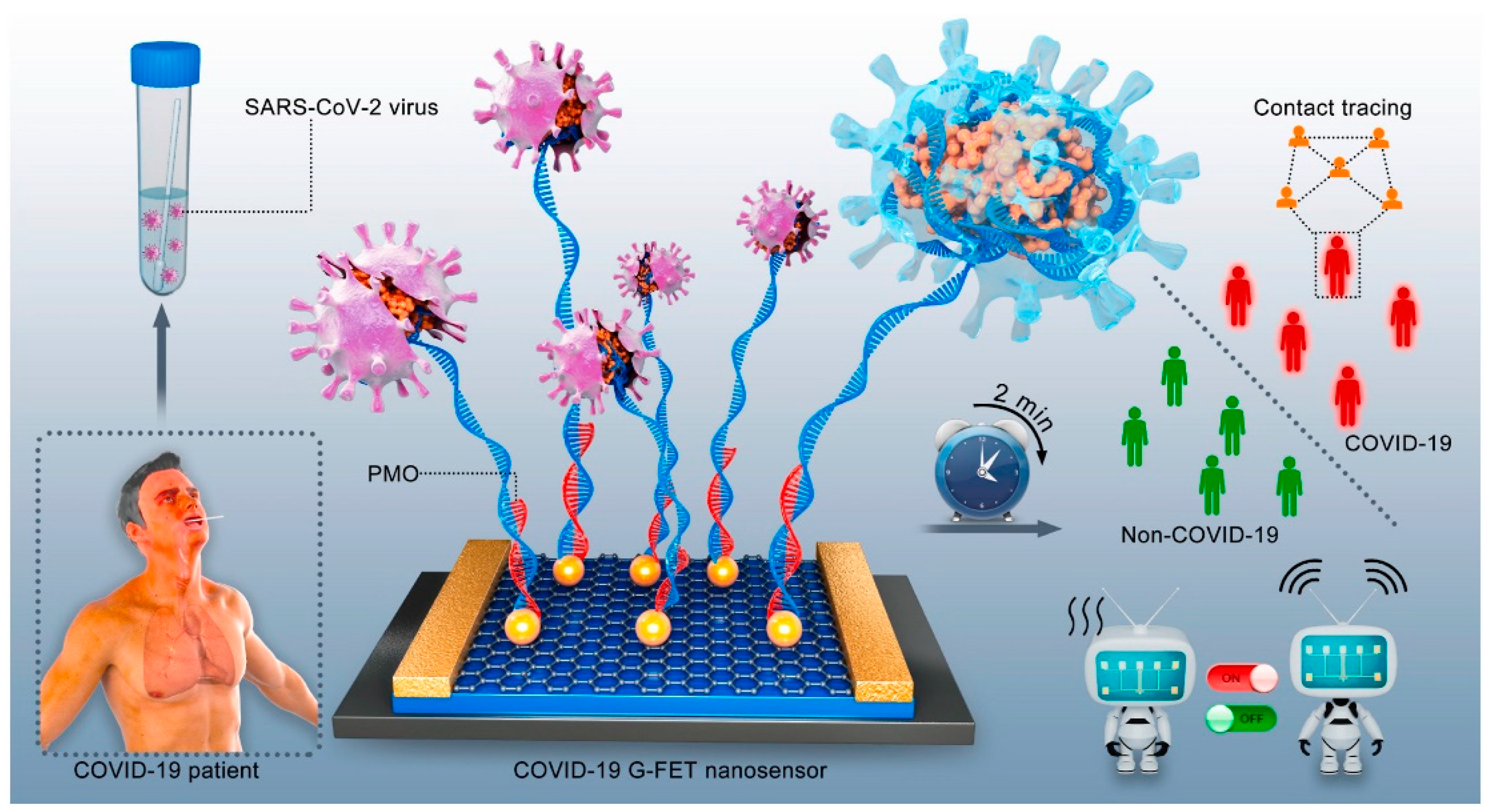 Graphene-Based Electrochemical Nano-Biosensors for Detection of SARS-CoV-2