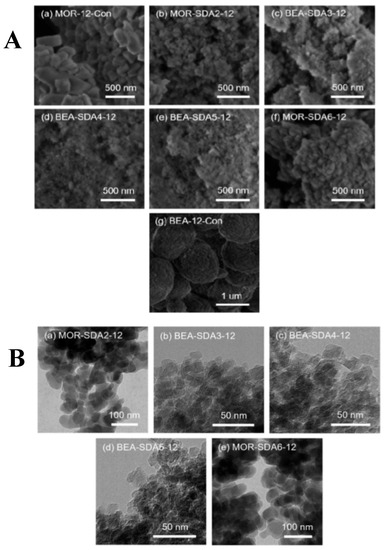 Research Progress on the Synthesis of Nanosized and Hierarchical Beta ...