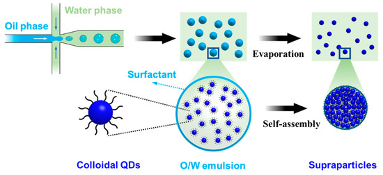 Fluorescence Resonance Energy Transfer Properties and Auger ...