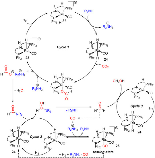 Homogeneous Metal-Catalyzed Hydrogenation of CO2 Derivatives: Towards ...