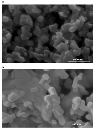 Inorganics | Free Full-Text | Efficient Disposal of Rhodamine 6G and Acid Orange 10 Dyes from ...