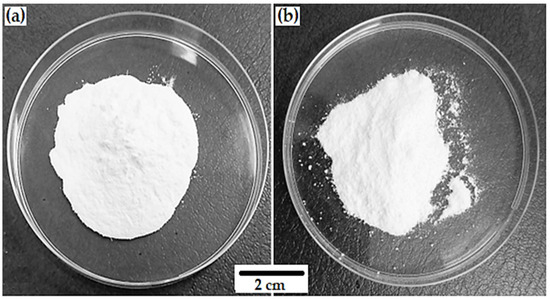 Synthesis of Nanostructured Alumina from Byproduct Aluminum Filings: Production and Characterization
