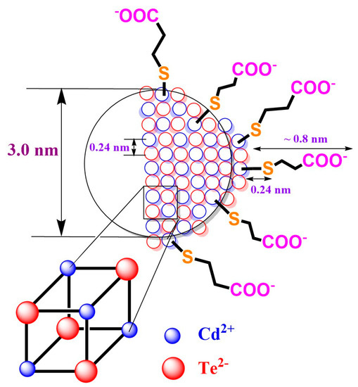 The Analytical Application of Quenching Phenomena of CdTe Quantum Dot ...