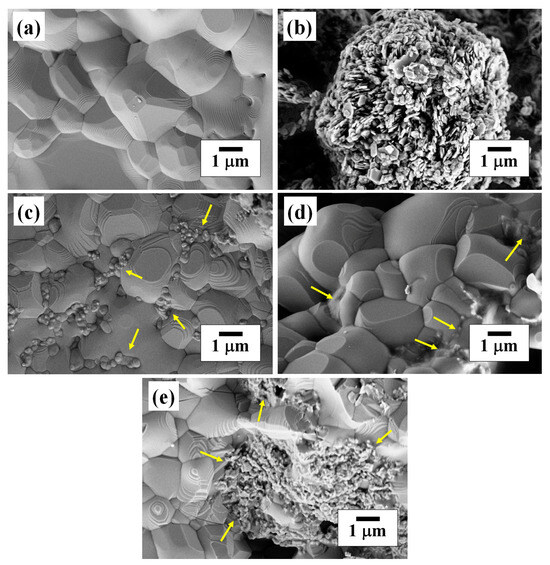 Inorganics | Free Full-Text | Hydroxyapatite–Clay Composite for Bone ...