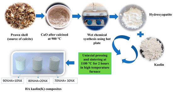 Inorganics | Free Full-Text | Hydroxyapatite–Clay Composite for Bone ...