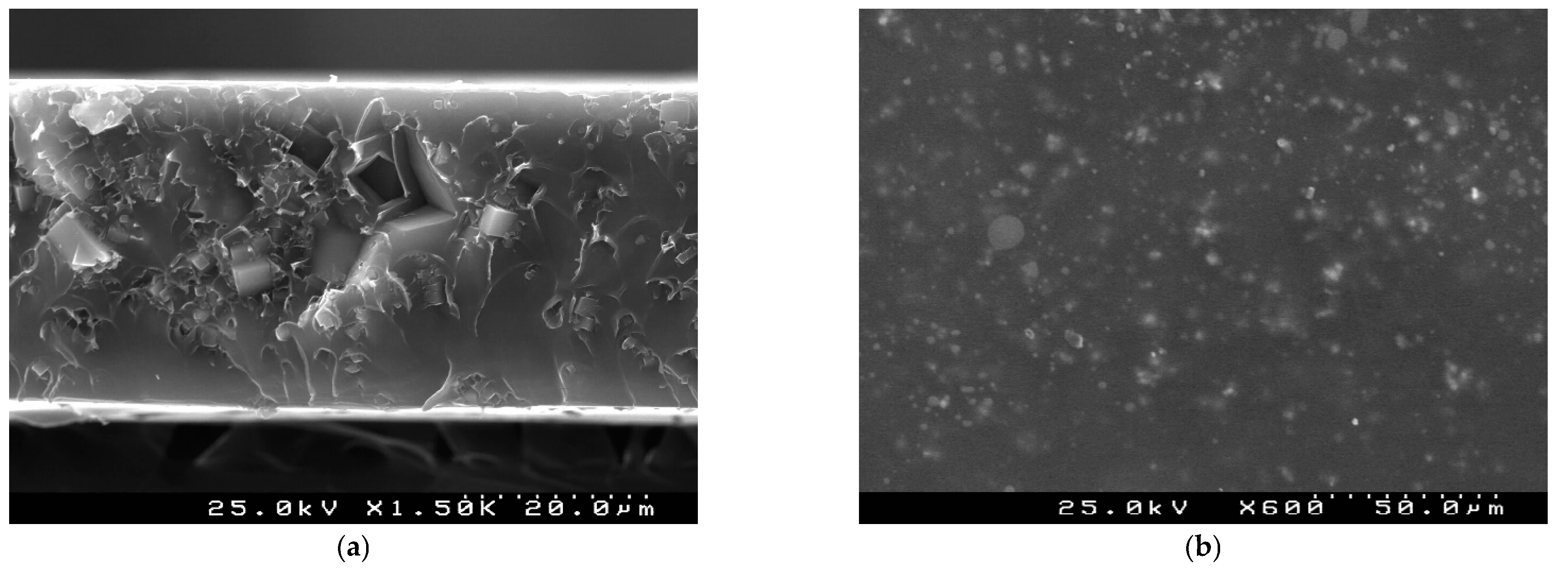 The Functionalization of PES/SAPO-34 Mixed Matrix Membrane with [emim ...