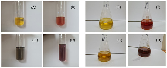 Green Synthesis of Gold and Copper Nanoparticles by Lannea discolor ...