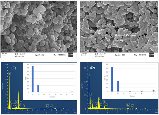 Green Synthesis of Gold and Copper Nanoparticles by Lannea discolor ...