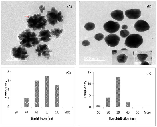 Green Synthesis of Gold and Copper Nanoparticles by Lannea discolor ...