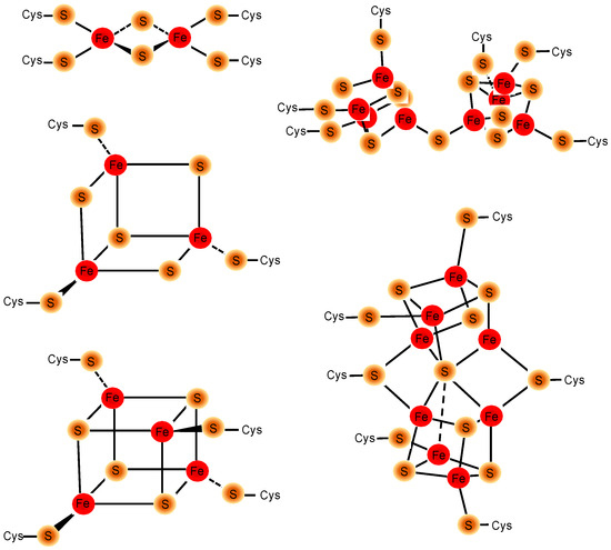 Regulatory and Sensing Iron–Sulfur Clusters: New Insights and ...