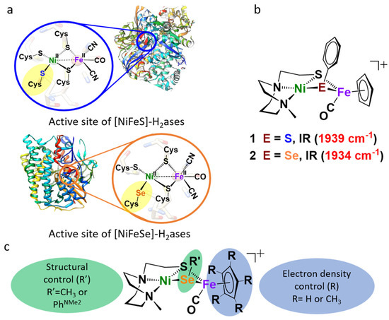 Inorganics | Free Full-Text | Electronic and Steric Effects on Oxygen ...