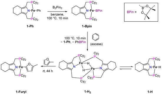 Inorganics | Free Full-Text | C–H Activation via Group 8–10 Pincer ...