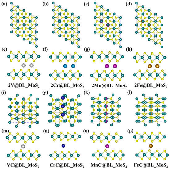 Inorganics | Free Full-Text | Tunable Electronic and Magnetic Properties of 3d Transition Metal ...