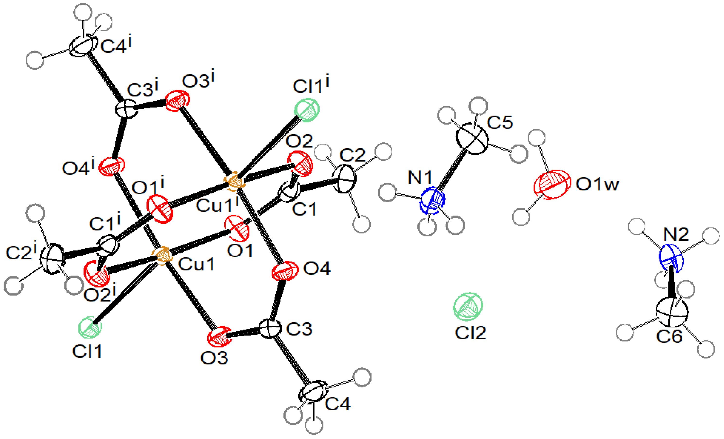 Synthesis and Characterization of New Copper(II) Coordination Compounds with Methylammonium Cations