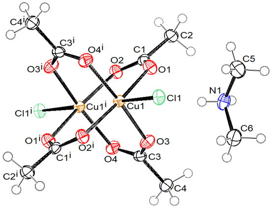 Synthesis and Characterization of New Copper(II) Coordination Compounds with Methylammonium Cations