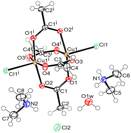 Synthesis and Characterization of New Copper(II) Coordination Compounds with Methylammonium Cations